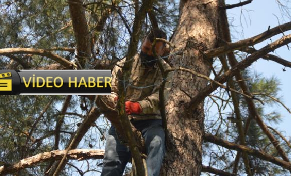 Boğazıma Ipi Takıp Intihar Etmek Istedi Polis Ve Bacanağı Ipten Aldı ...