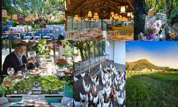 Meşealtı Otantik Kebap, Bodrum’da 12 Ay Gastronomi Turizmine Öncülük ...